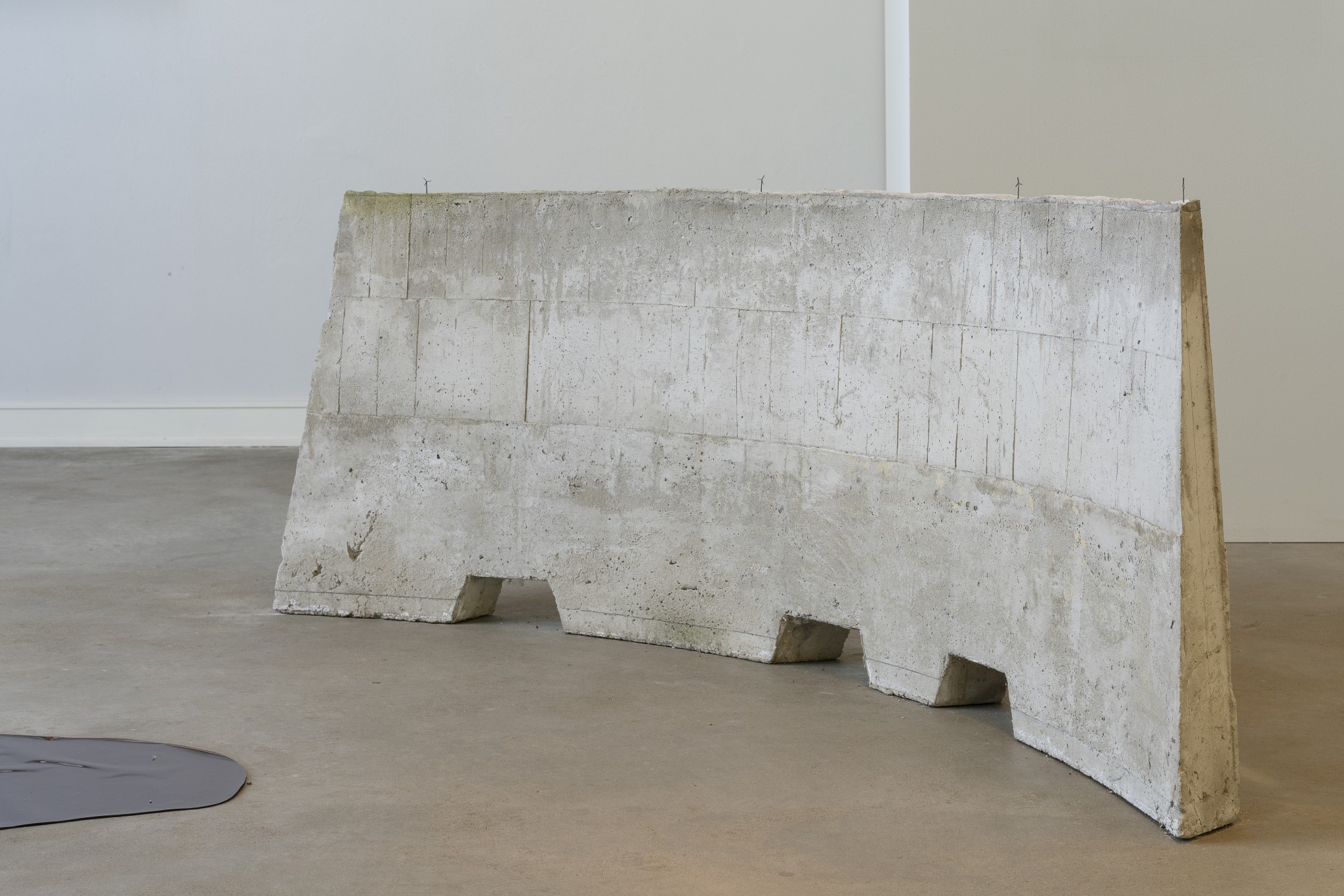 Marta Dyachenko — Dittrich & Schlechtriem