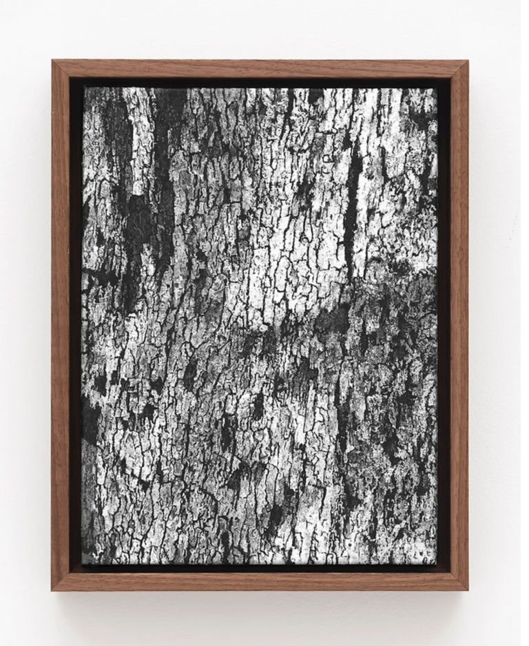 Haley Mellin — Dittrich & Schlechtriem